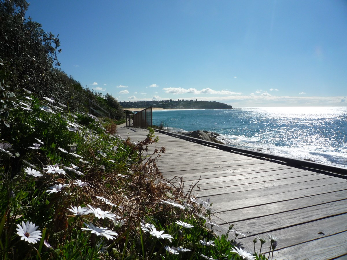 What is Massotherapy – Nori's Massotherapy